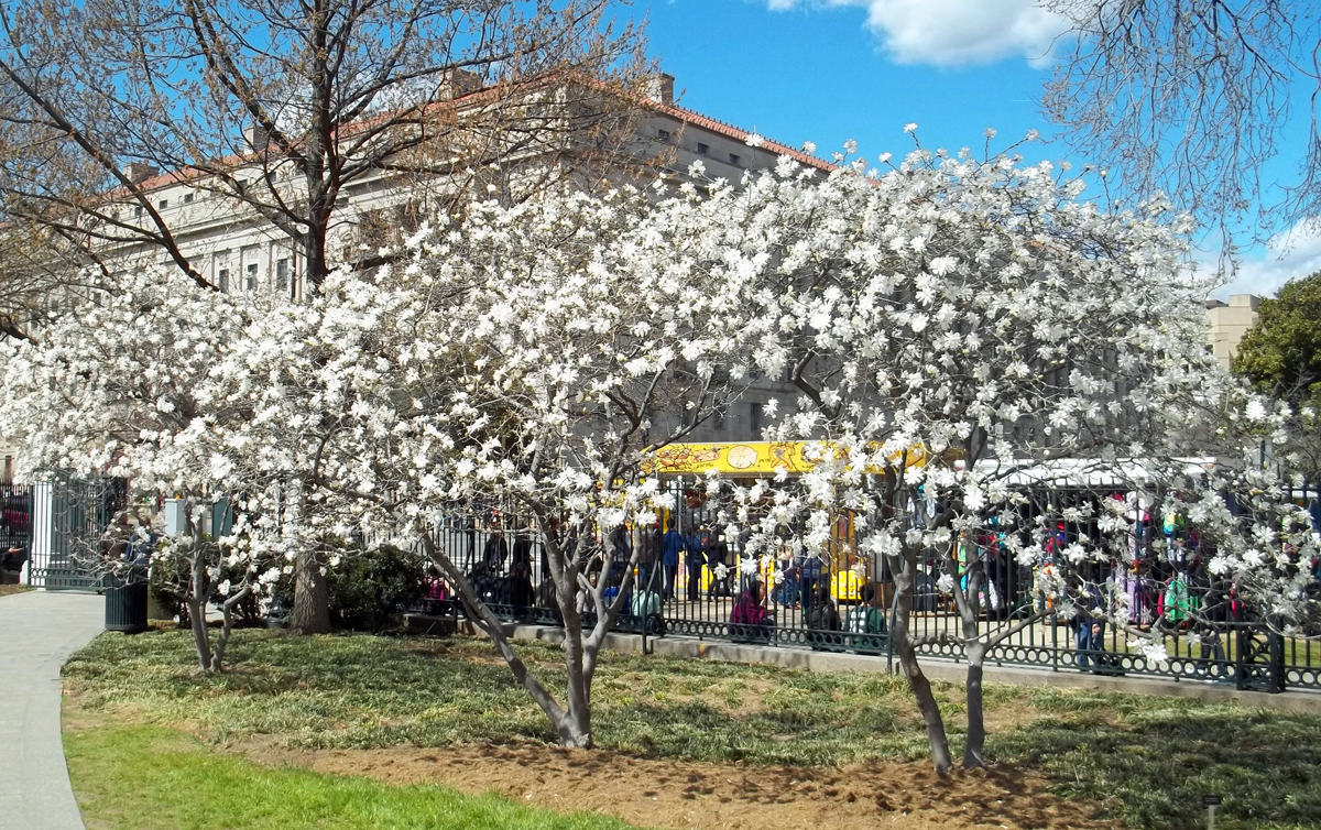Touring Washington DC - HubPages