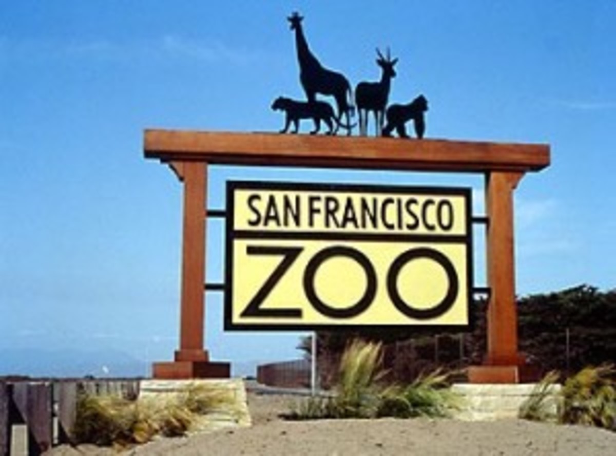 Famous Places of Interest in San Francisco - HubPages