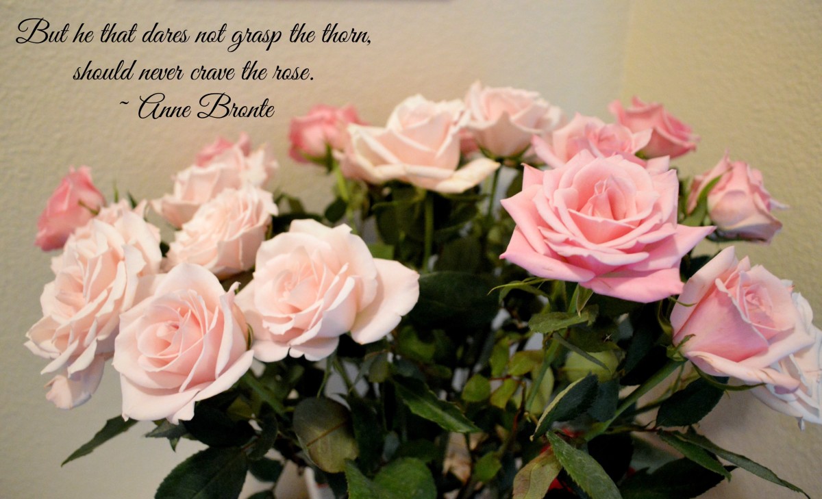 Love and Wisdom Dancing Together. Friday's Inspiration 24, to the ...