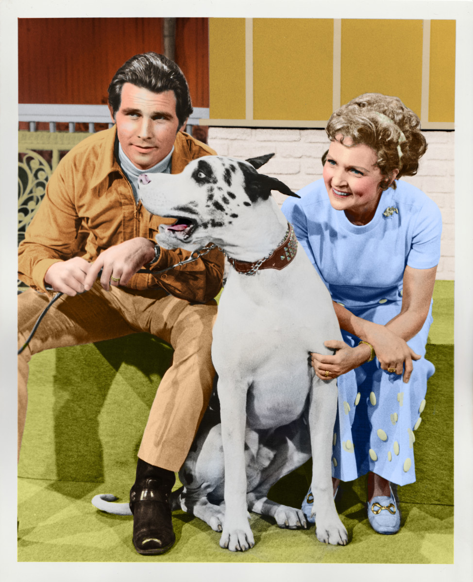DVD Review: "Betty White's Pet Set": The Complete Series - HubPages