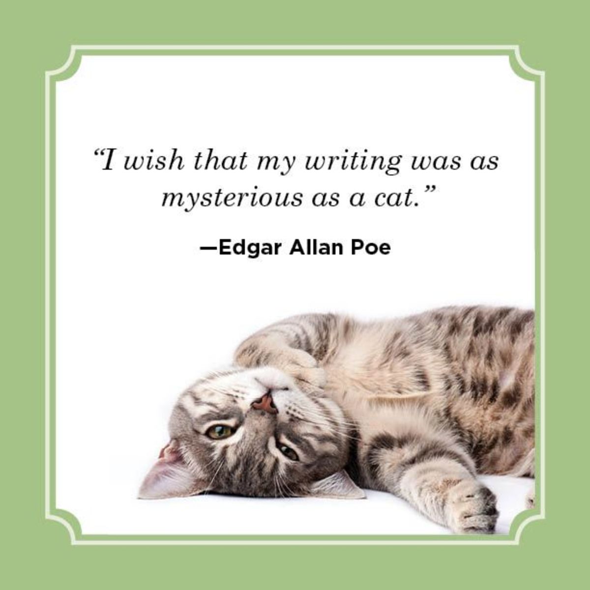 Poem: Kitty-cat Cartoon - HubPages