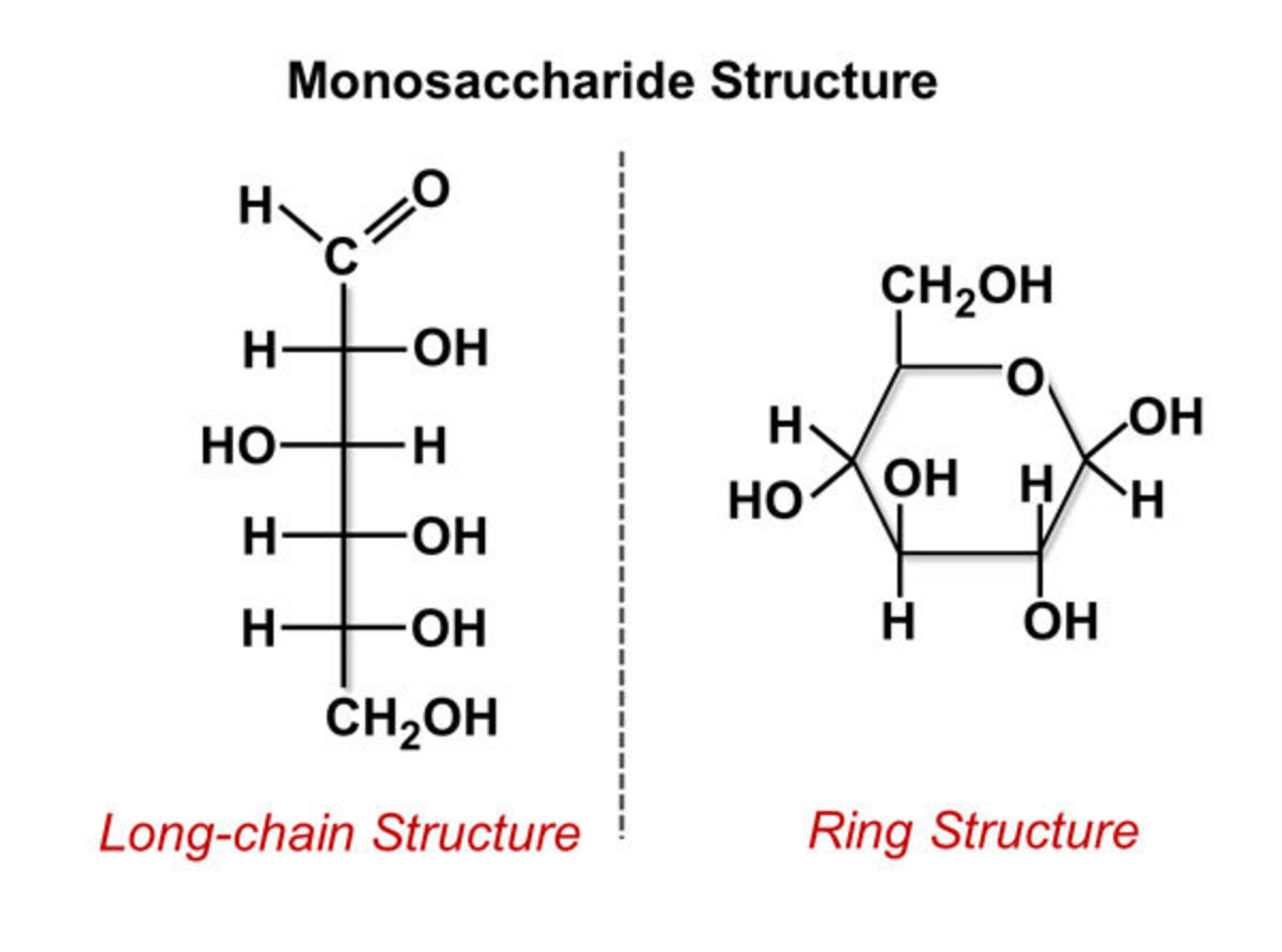 Biology 2: Chemical Bases of the Life 1 - HubPages