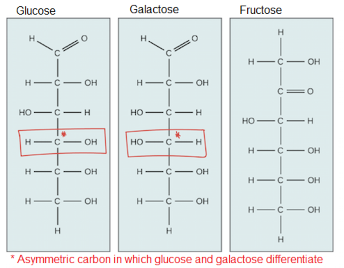 Biology 2: Chemical Bases of the Life 1 - HubPages