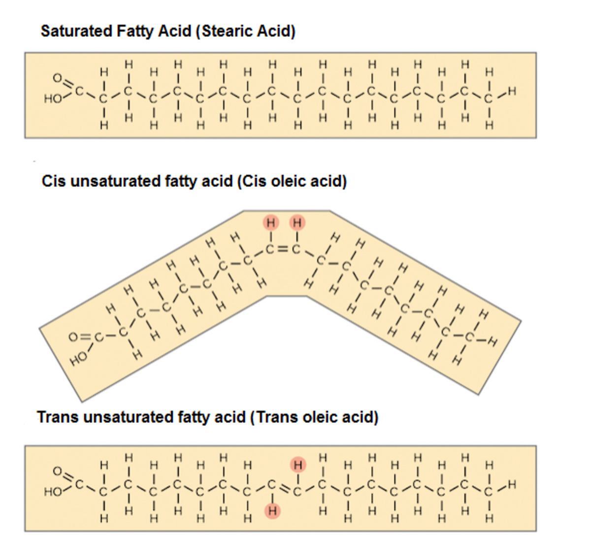 Biology 2: Chemical Bases of the Life 1 - HubPages