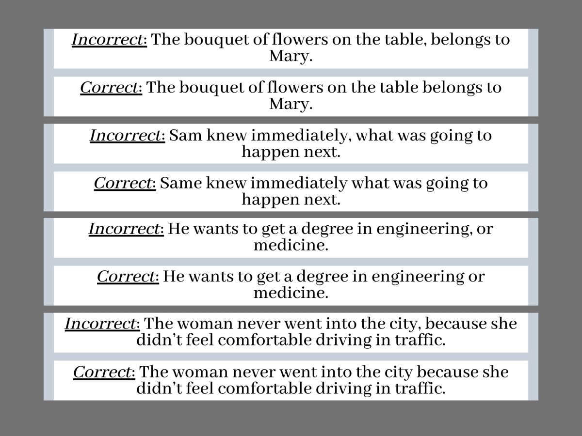 6 Common Grammatical Errors Every Writer Should Avoid (With Exercise ...