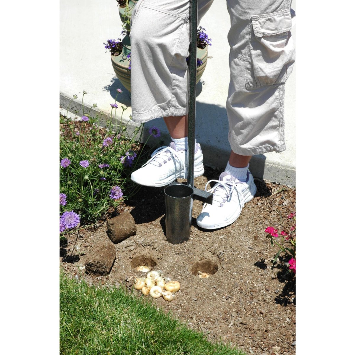 Spring Bulbs and Perennials - HubPages