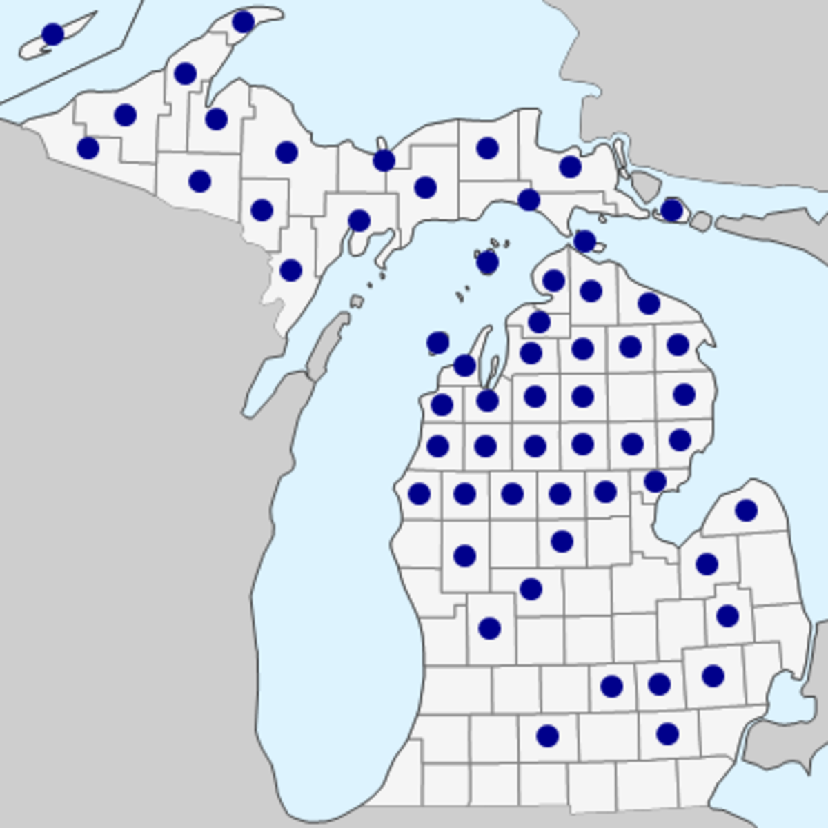 4 Most Common Spruce Trees of Michigan - HubPages