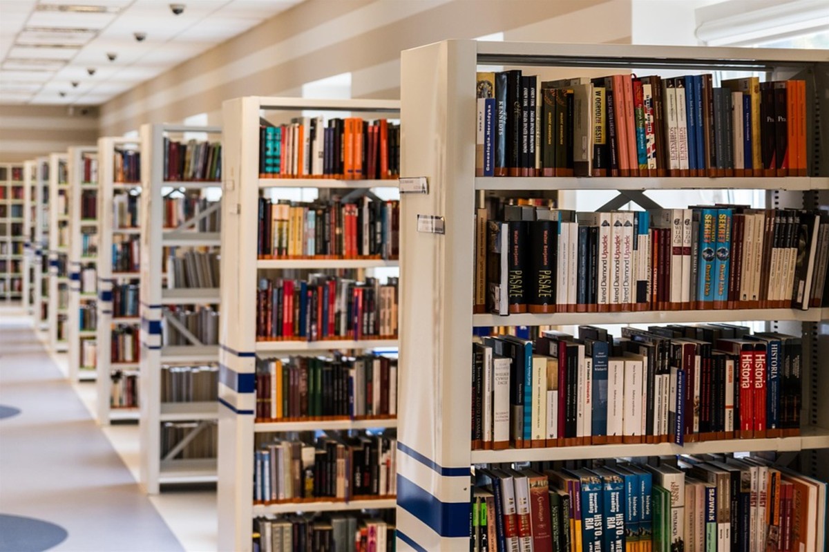 Top Six Reasons to Visit a Library - HubPages