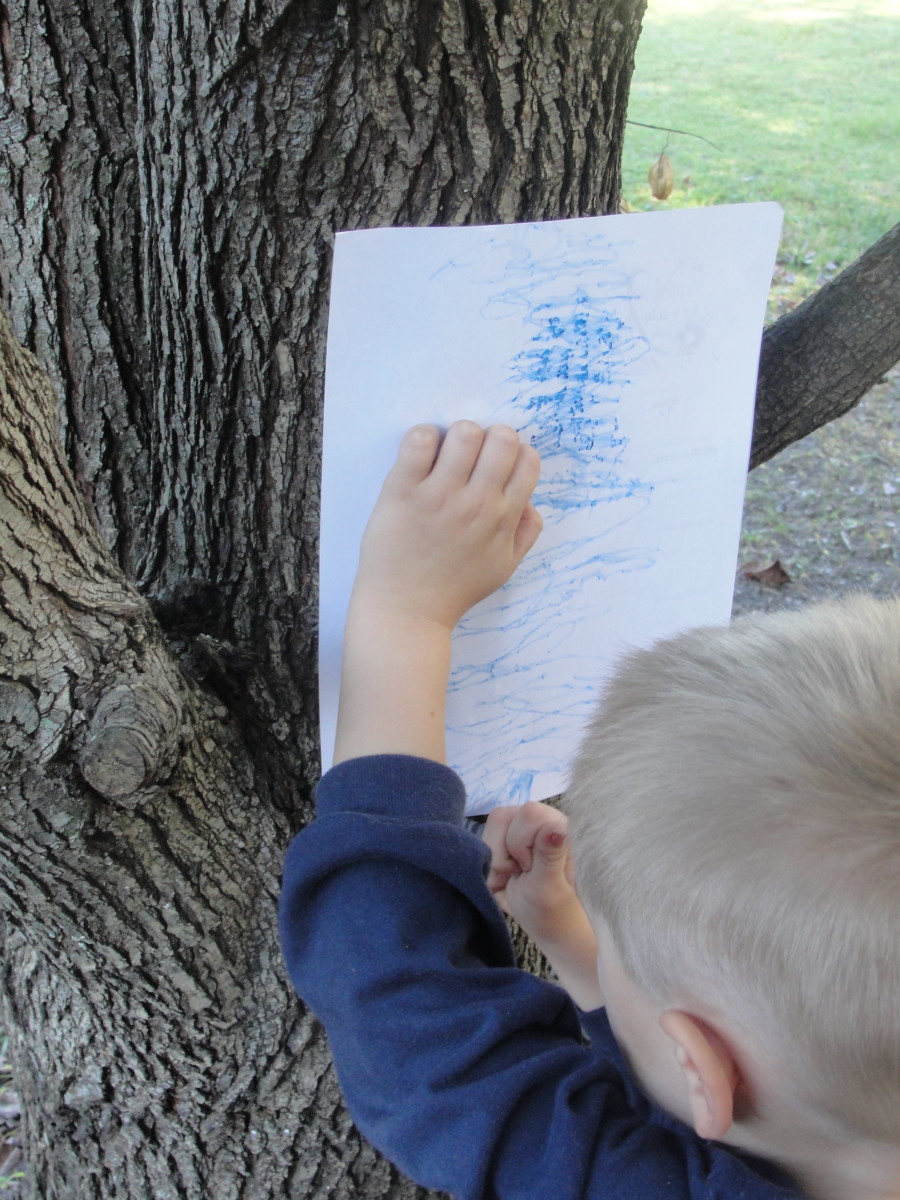 Trees, Leaves, Stems, and Roots Lesson - HubPages