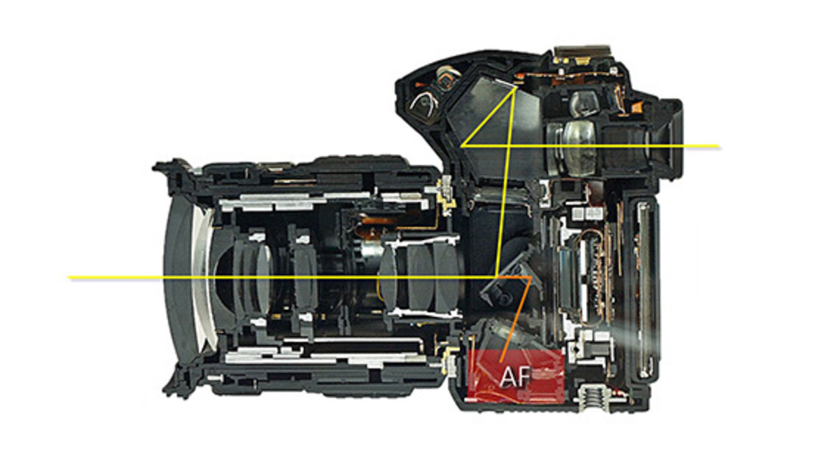 Photography for Beginners: Where to Start - HubPages