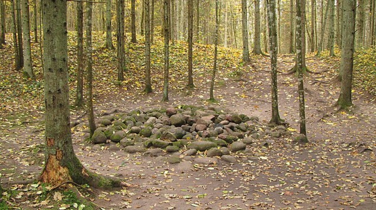 5 Mystical Forests of Europe - Owlcation