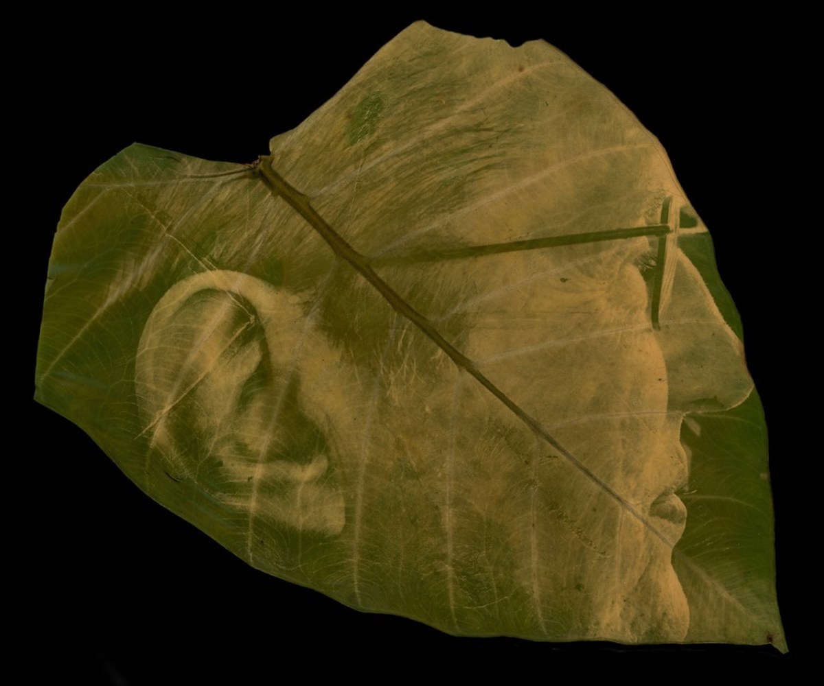 Moving Beyond Digital Photography: Exploring Alternative Photography ...