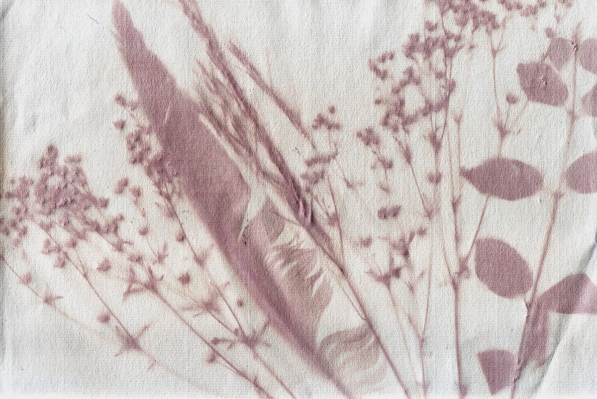 Moving Beyond Digital Photography: Exploring Alternative Photography ...