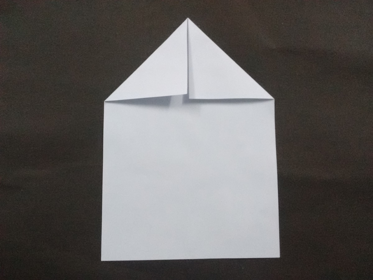 Learn How to Make a Paper Plane: Step-by-Step Guide for All Ages - HubPages