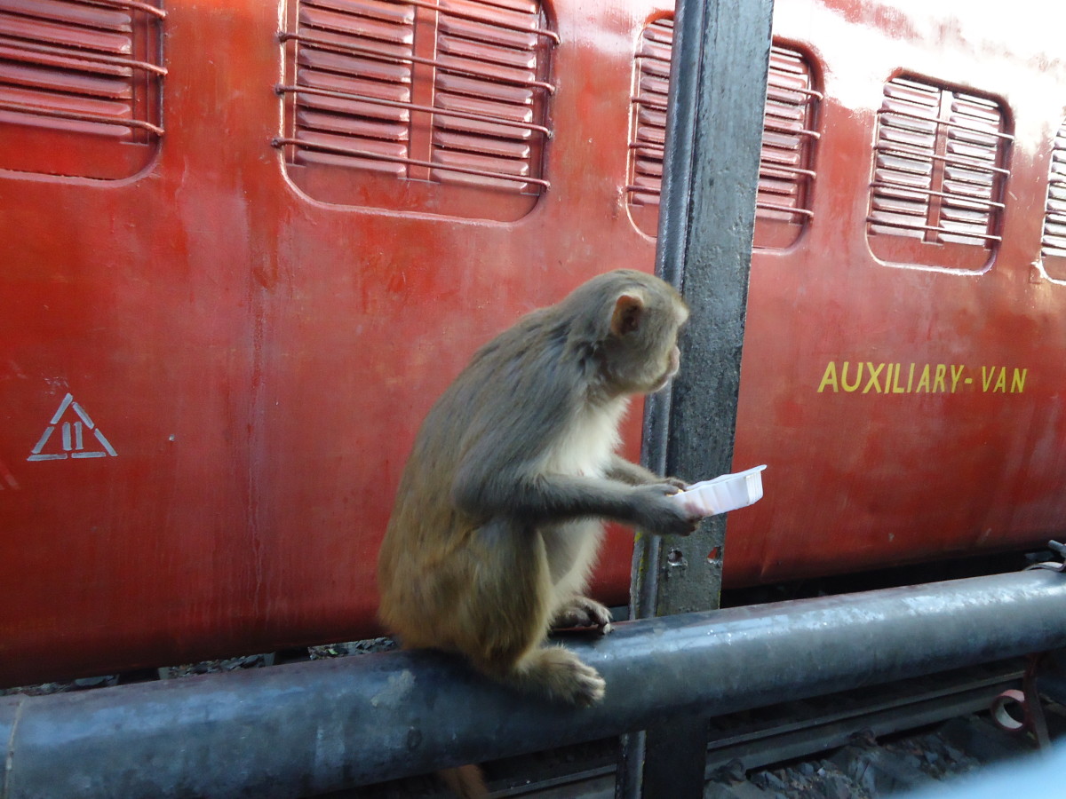 What's it like to travel on the Indian Railways - HubPages