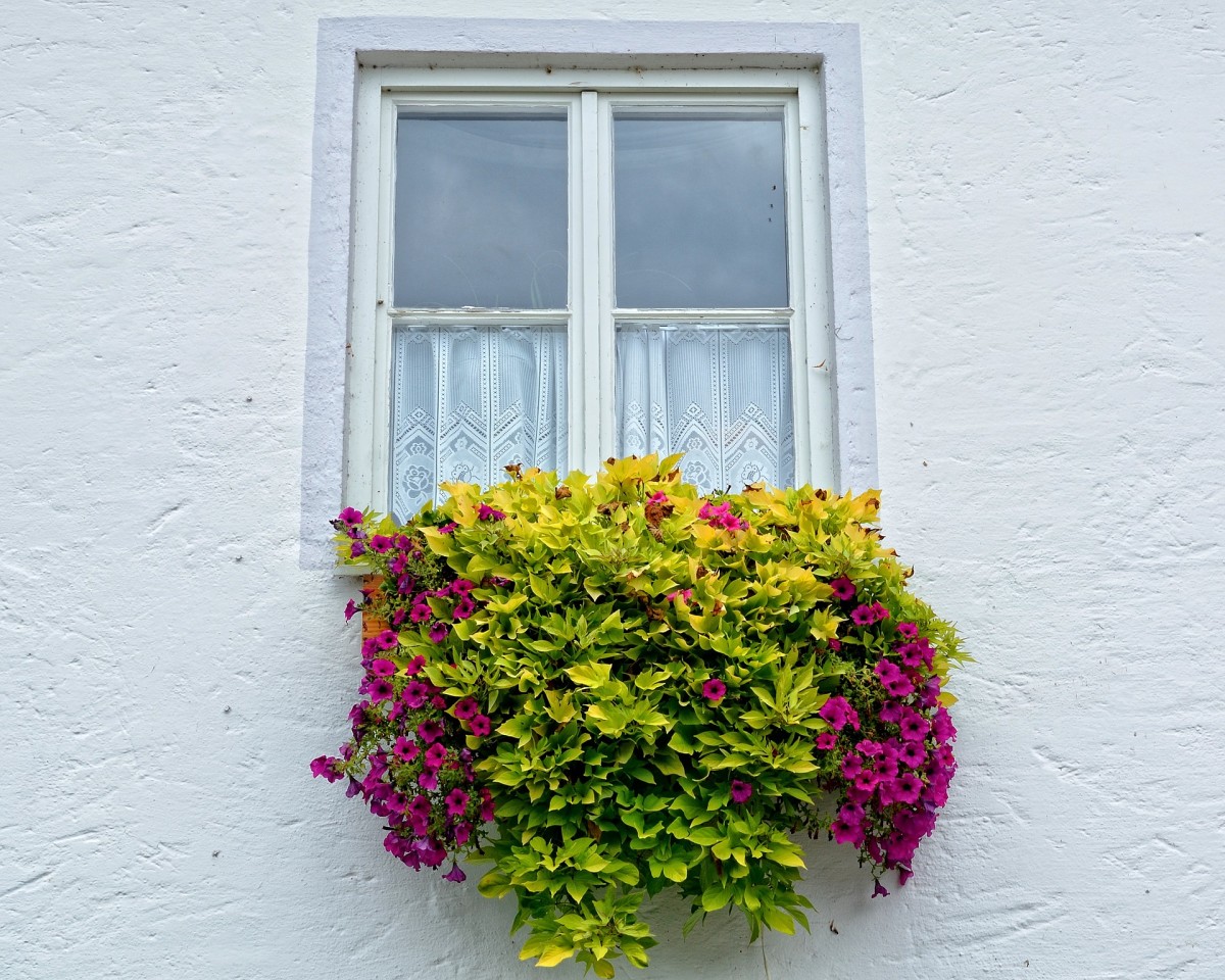 Window Boxes: Adding Beauty to Homes - HubPages