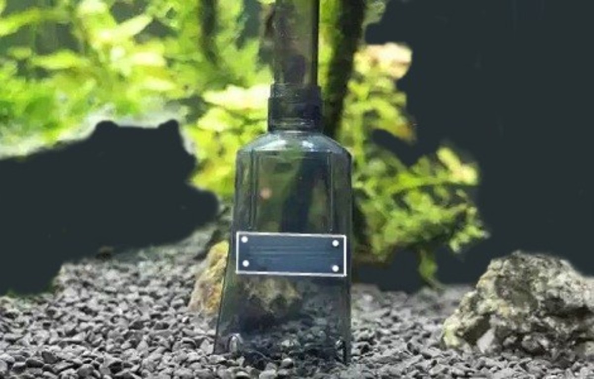 How to Treat Nitrate Poisoning in Goldfish - HubPages