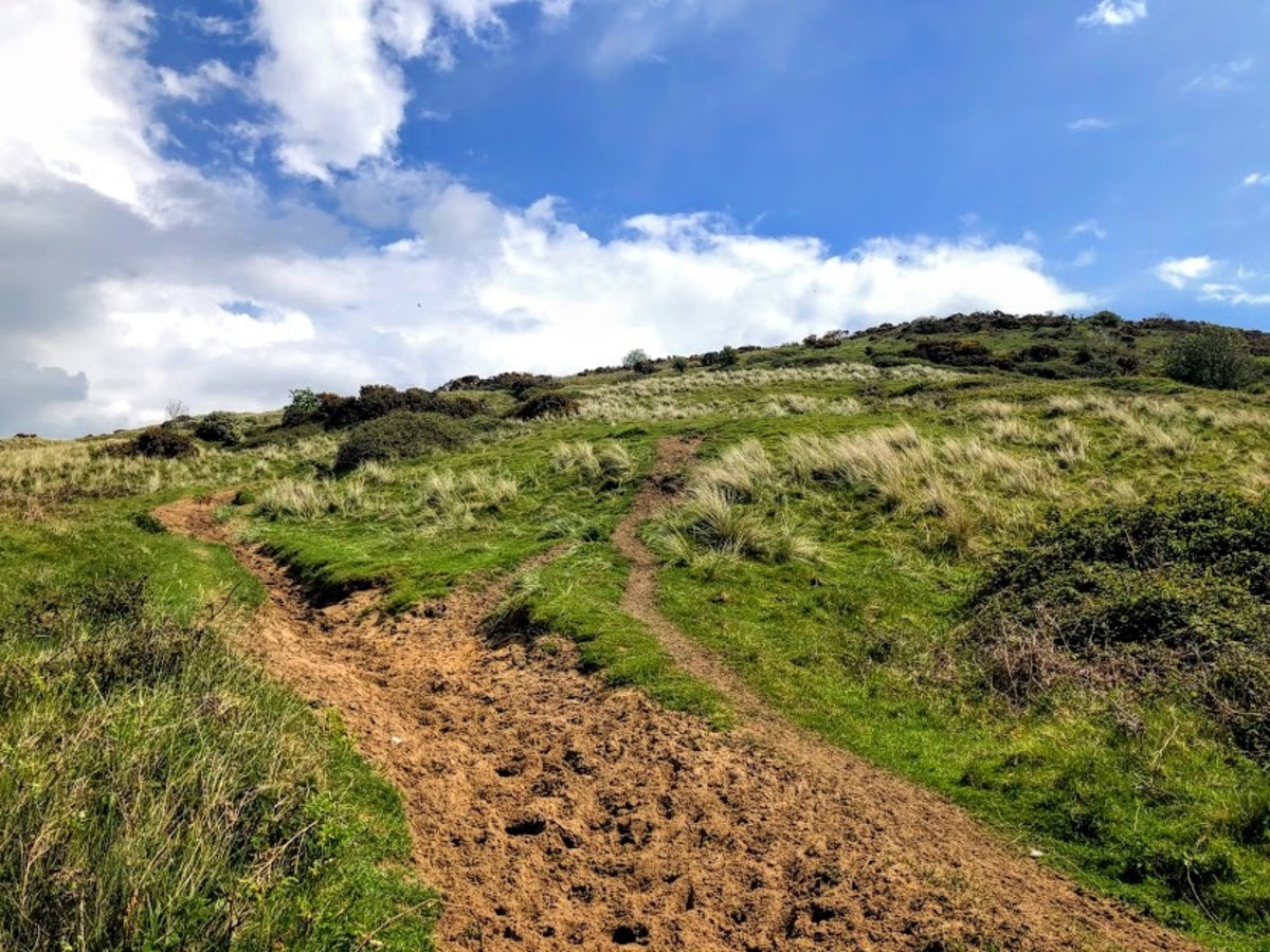 Hiking the Wilderness of Ogmore on Vale Trail 1: Walking in the Vale of ...