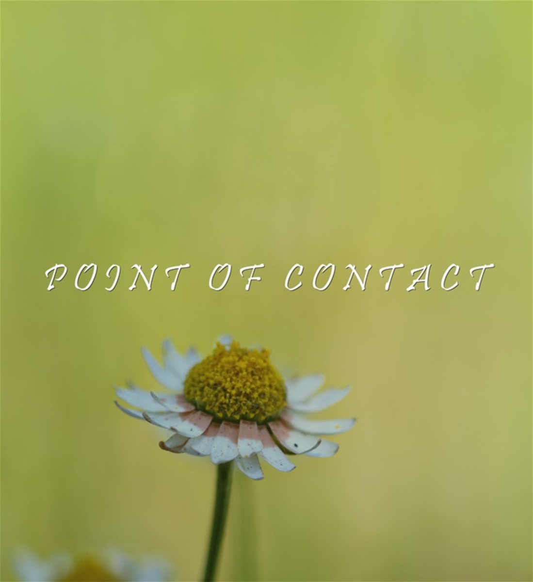 What Is a 'Point of Contact'? - HubPages