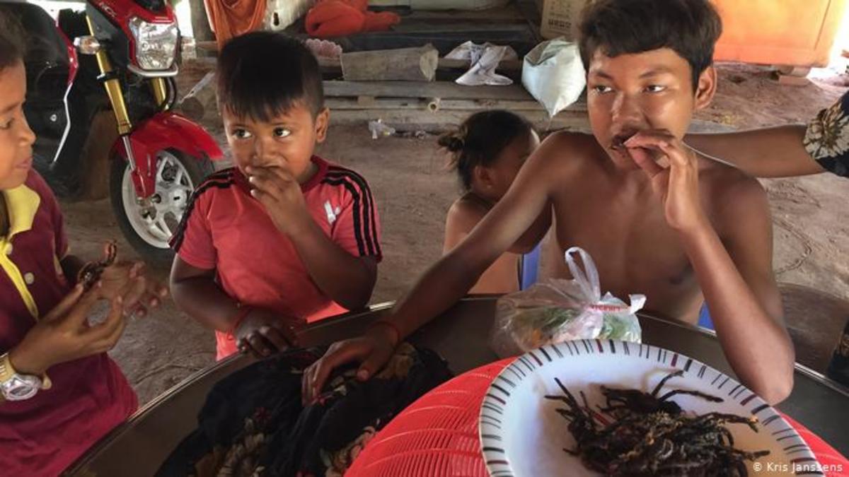 Most Gross Foods in the World - HubPages