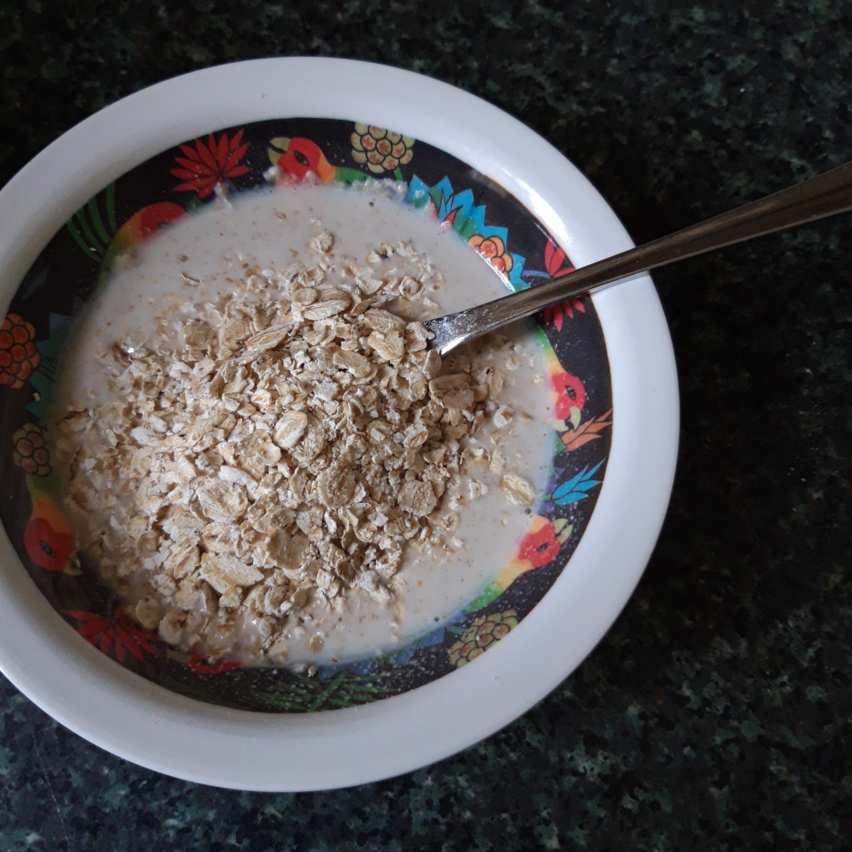 Nutritious Ground Oats and Rolled Oats Breakfast - Delishably