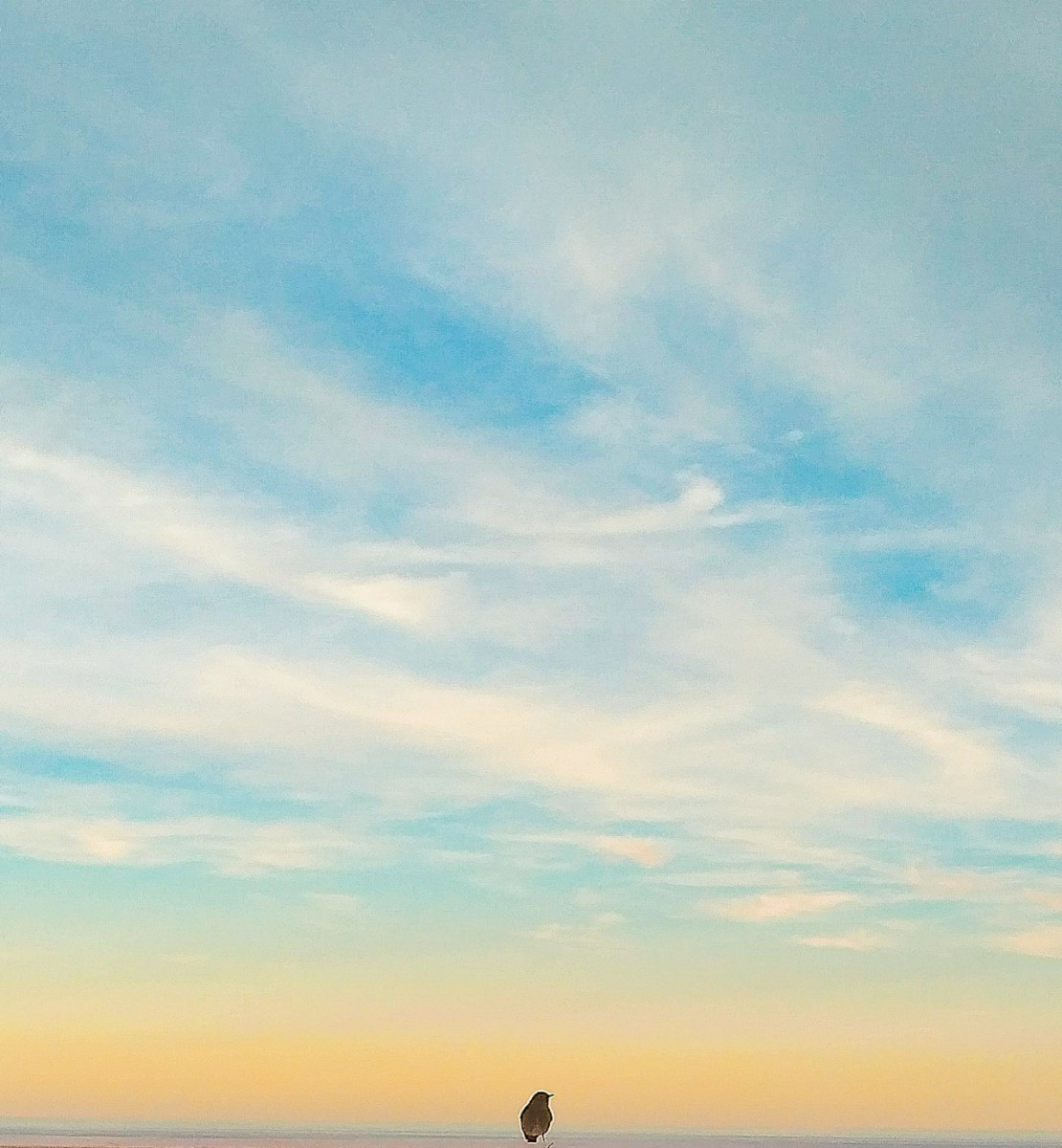 A Winter's Night Walk Through Moncofa - LetterPile