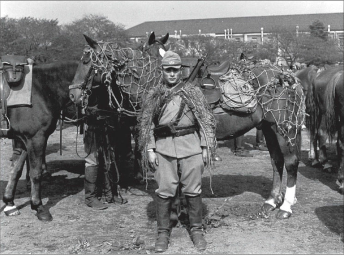 Rikugun: Guide to Japanese Ground Forces, 1937-1945, Volume 1 Review ...