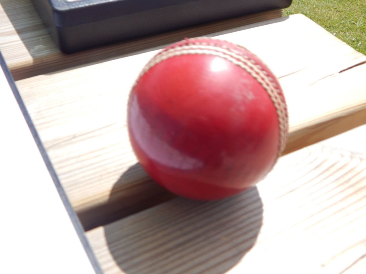 Flash in the Pan as the Fastest Bowler of World Cricket Roy Gilchrist ...