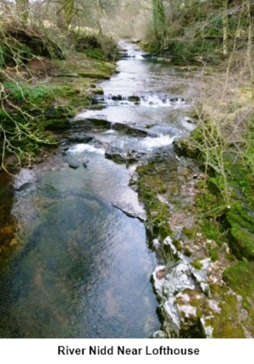 Travel North - 27: Follow the Nidd, From Source Near How Stean Caves ...