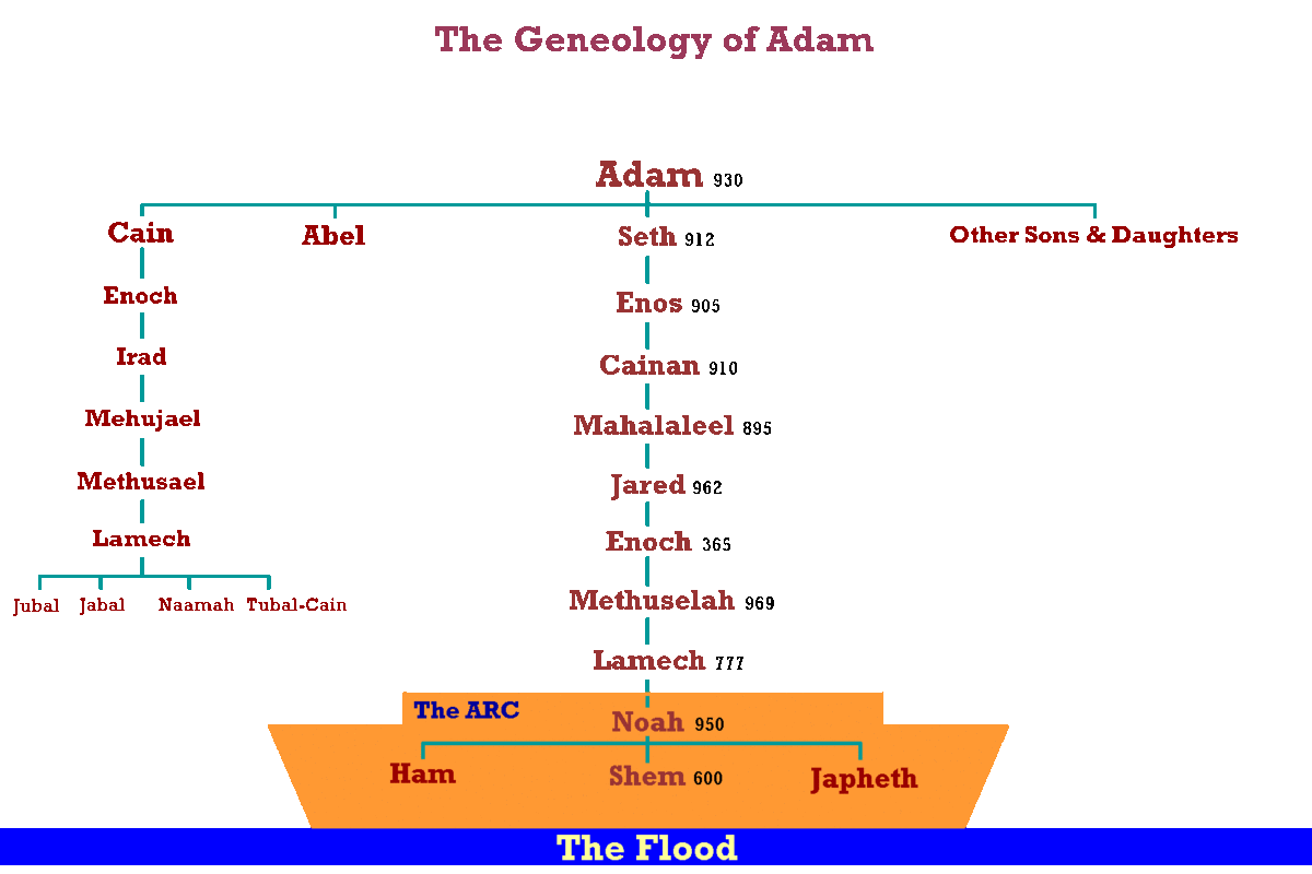 Echoes Of Eden Genealogical Developments Of The Lines Of Cain And Seth