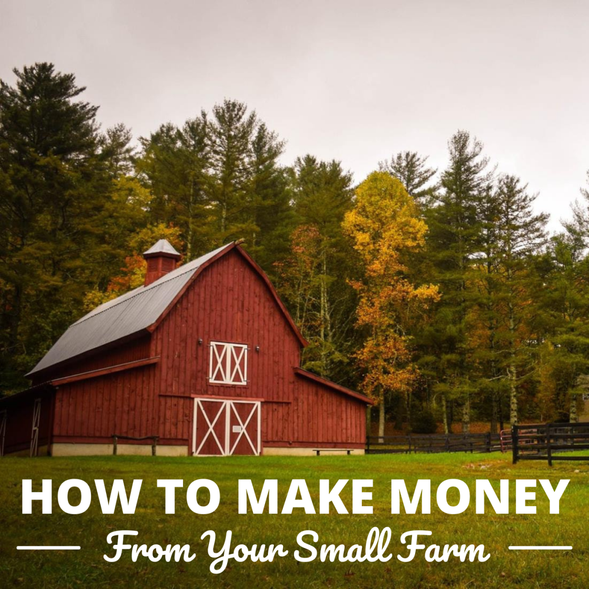 27 Ways To Make Money From Your Small Farm ToughNickel