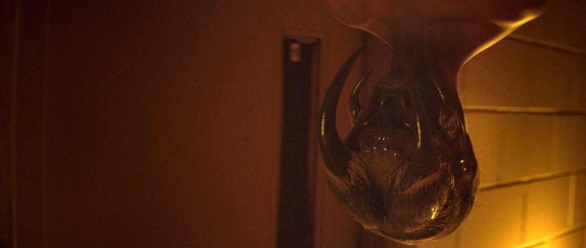 Enemy Movie Spider