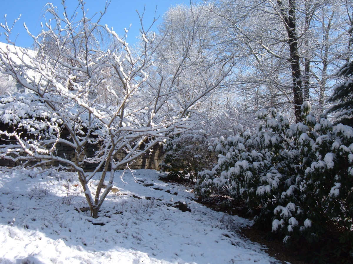 Our Winter Landscape: Adding Year Round Interest Garden Design - HubPages