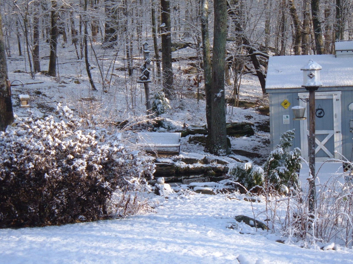 Our Winter Landscape: Adding Year Round Interest Garden Design - HubPages