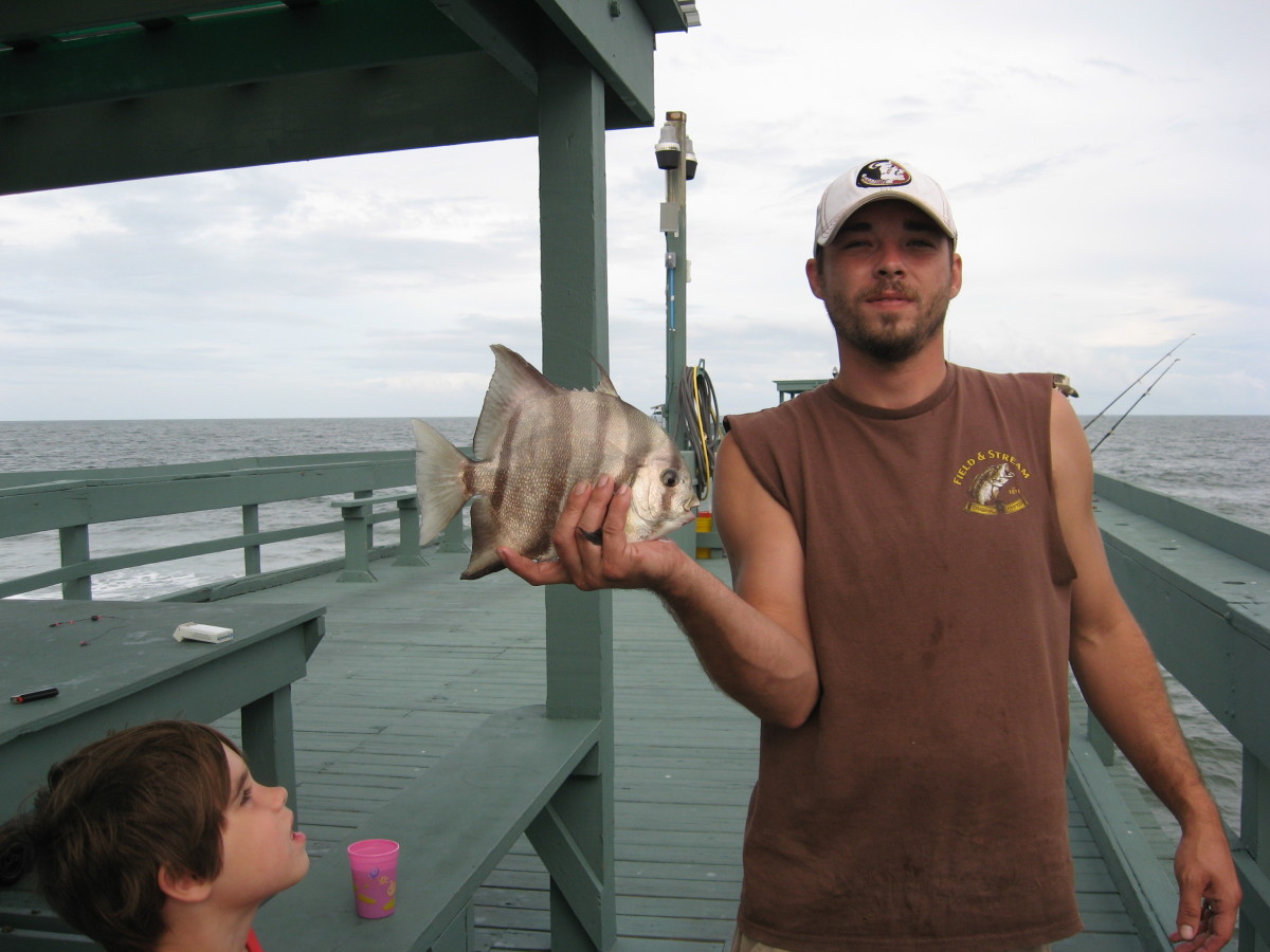 Healthy Foods: A Cook's Guide to Lean Fishes - HubPages