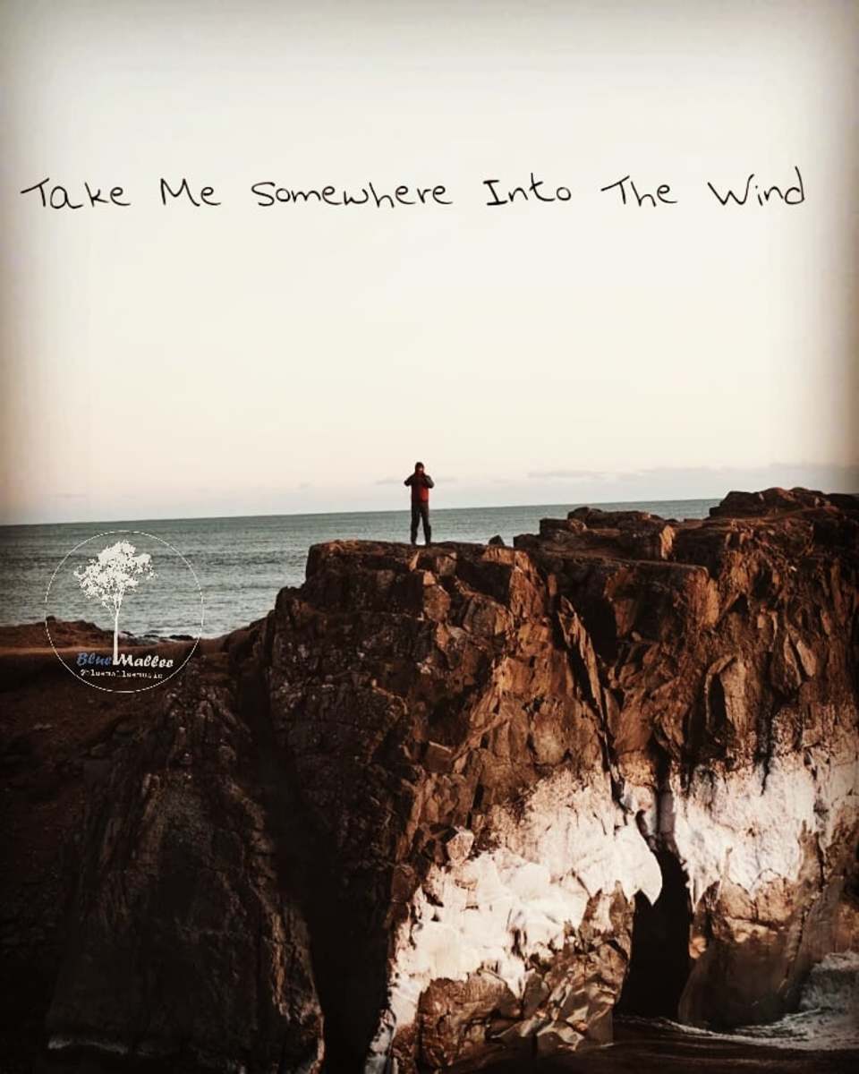 Indie Folk Single Review: "Take Me Somewhere Into the Wind" by Blue ...