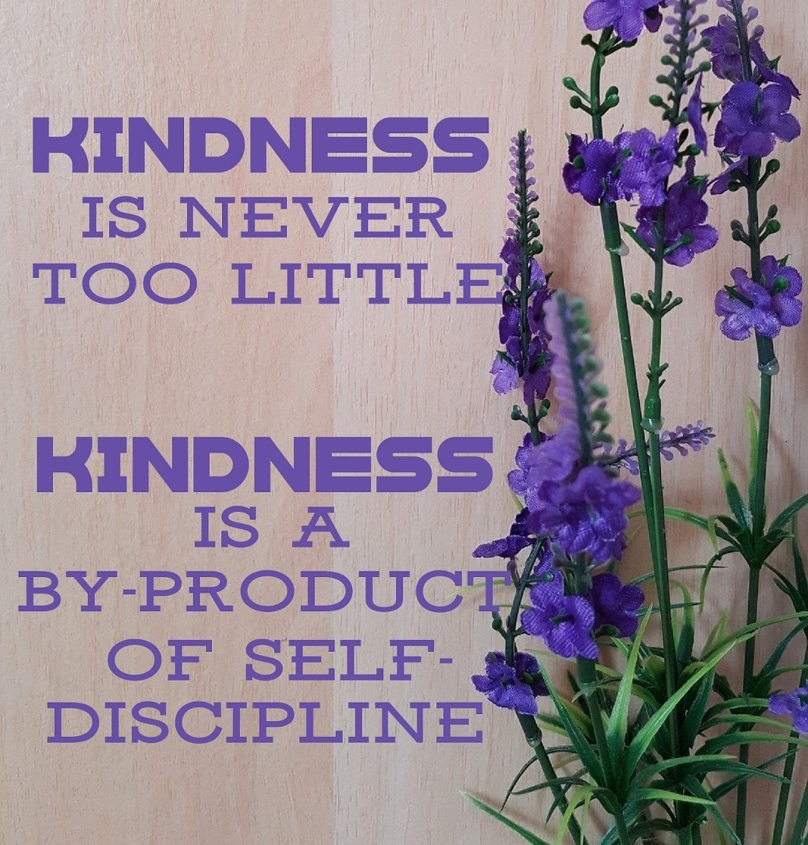 Kindness Principles in Feeding the Five Thousand - HubPages