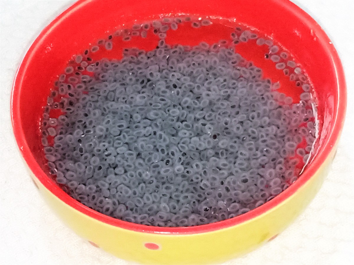 Health and Nutritional Benefits of Sabja Seeds - HubPages