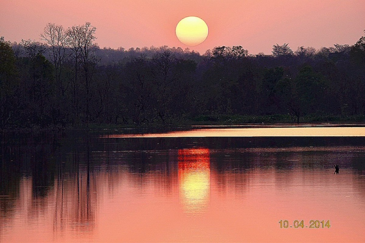 Pench National Park in MP in India - HubPages