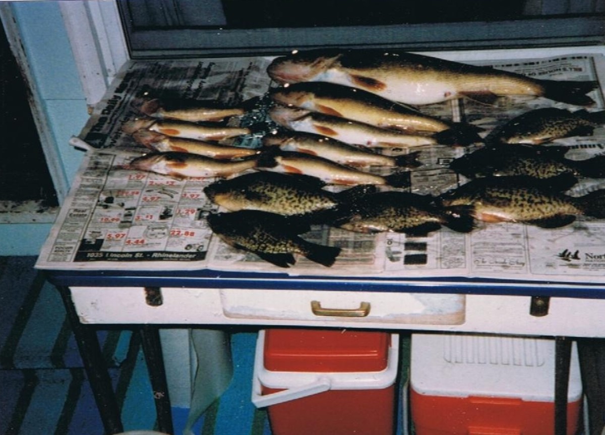 How to Fillet a Fish (With Video and Simple Recipe for Cooking Fish ...