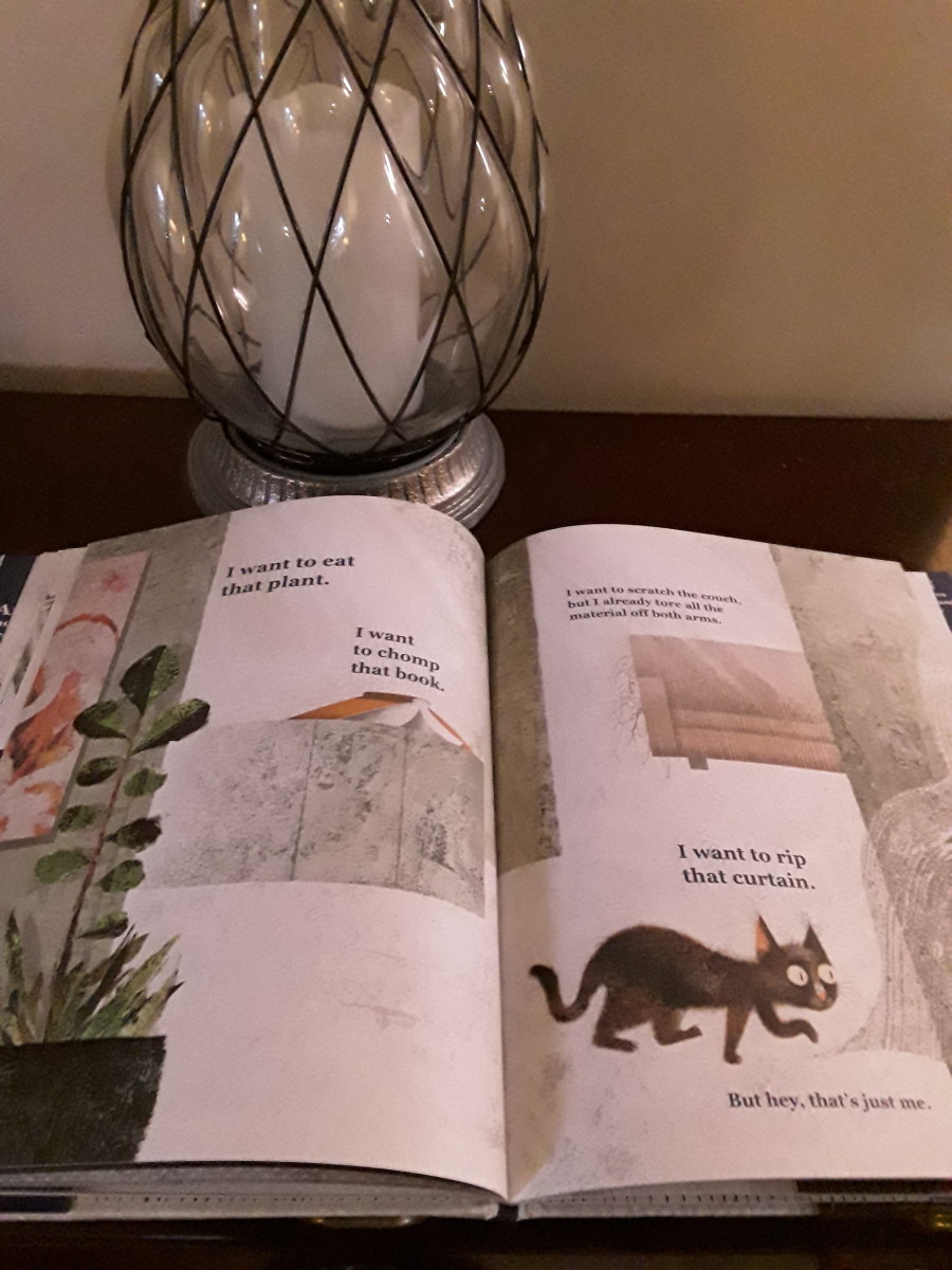 Cats and Their Adorable Quirky Behavior in Hilarious Picture Book for ...