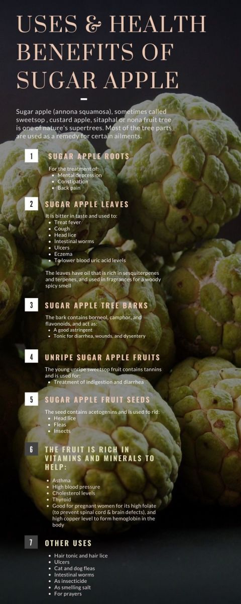 Uses and Health Benefits of Sweetsop or Sugar Apple Fruit Trees - HubPages