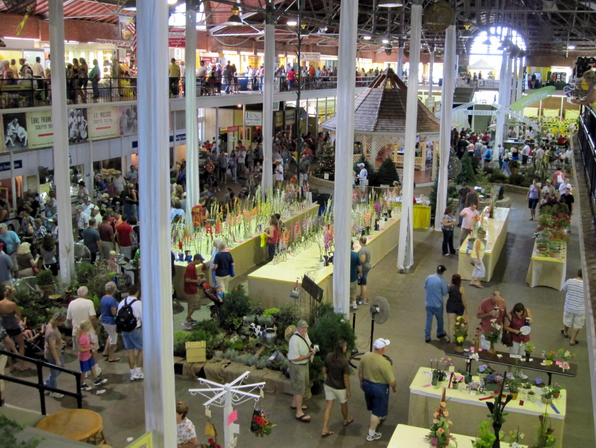 Iowa State Fair Facts and Fun (And Why You Should Visit) - HubPages