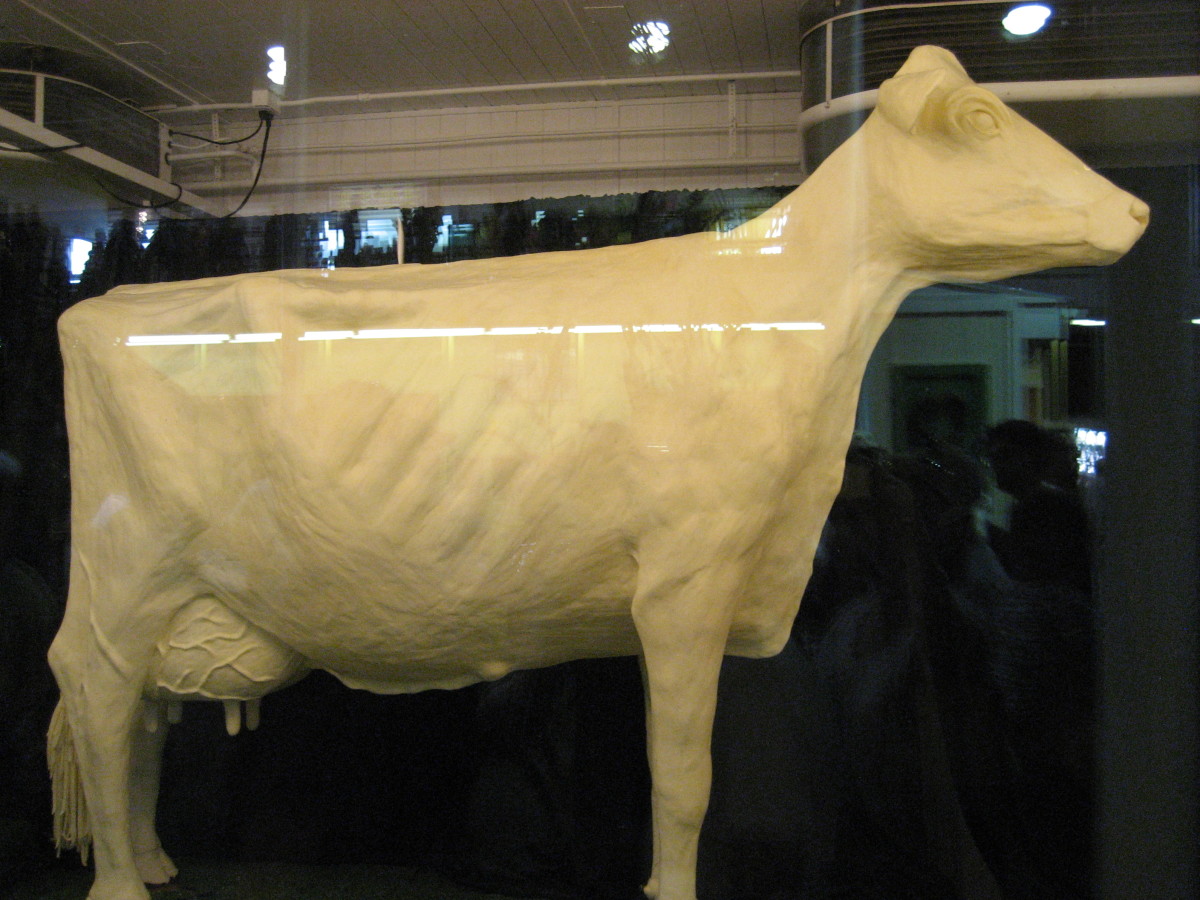 Iowa State Fair Facts and Fun (And Why You Should Visit) - HubPages