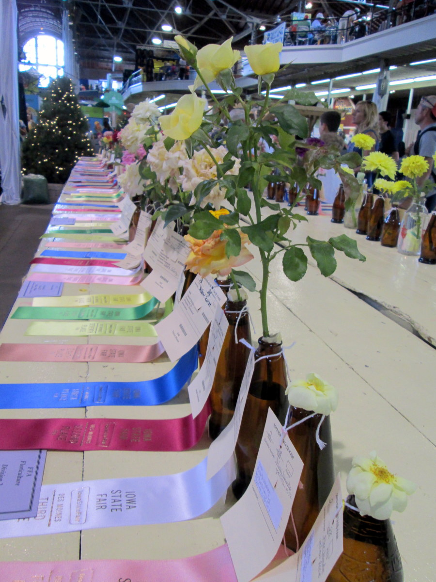Iowa State Fair Facts and Fun (And Why You Should Visit) - HubPages