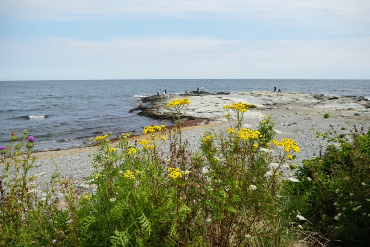 8 Free Things to Do in Newport, RI, When You Visit - HubPages