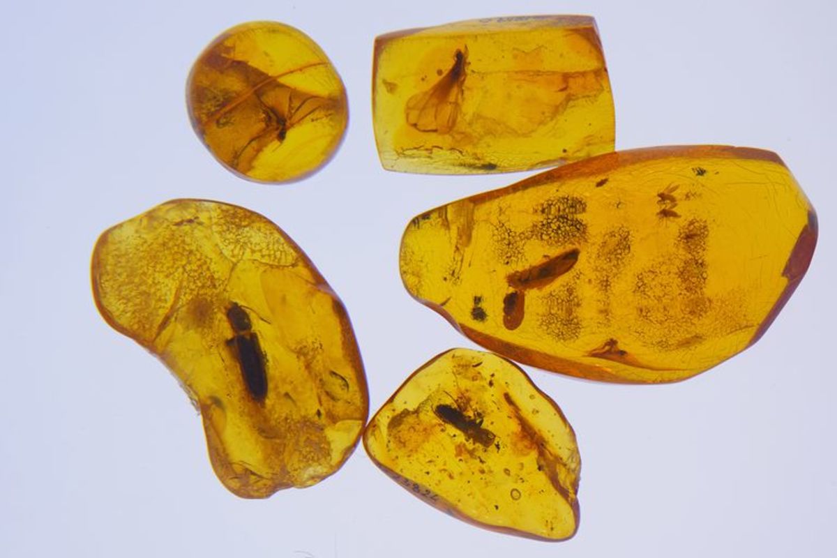 The Magnificent Amber Room: The Eighth Wonder of the World - HubPages