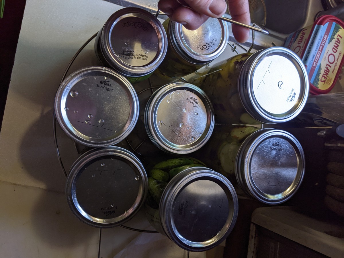 Pickles - Bread and Butter Flavor - Mrs. Wages Mix - HubPages