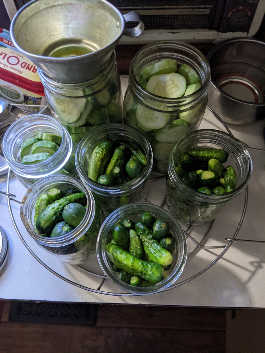 Pickles - Bread and Butter Flavor - Mrs. Wages Mix - HubPages