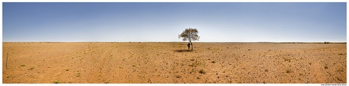 Beyond a Reasonable Drought - a Poem About Natural Disaster - HubPages